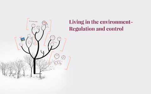 Living in the environment- Regulation and control by katherine roan on ...