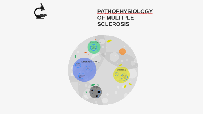 PATHOPHYSIOLOGY OF MULTIPLE SCLEROSIS by sawyizzle morris on Prezi