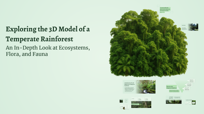 Exploring the 3D Model of a Temperate Rainforest by Nolan Flodrowski on ...