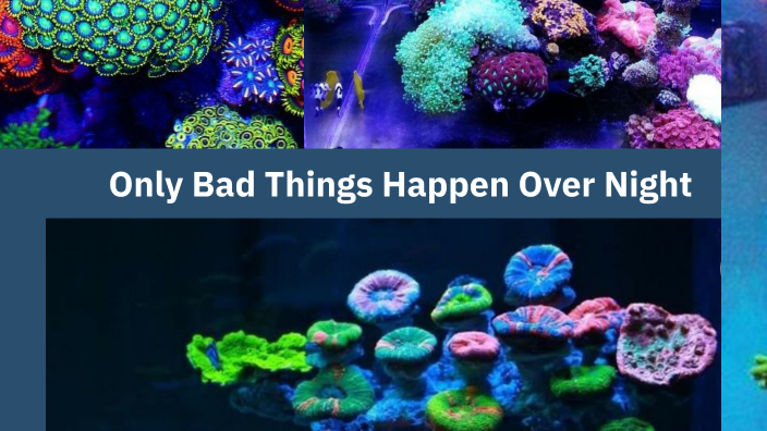 Maximizing Sales Team Performance by Christopher Cazares on Prezi