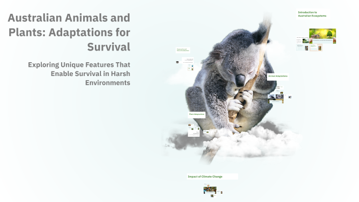 Australian Animals and Plants: Adaptations for Survival by taraaksh ...
