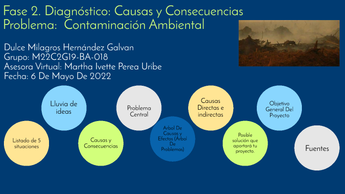 Fase 2: Diagnóstico. Causas y Consecuencias by Dulce on Prezi