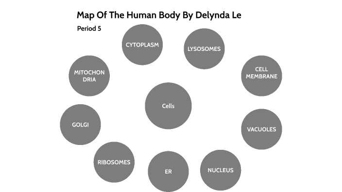 Map Of The Human Body By Delynda Le by Delynda Le on Prezi