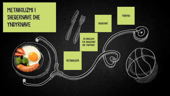 METABOLIZMI by bejza zeqiri on Prezi