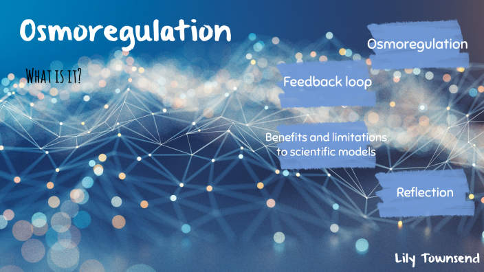 Osmoregulation Scientific Model-Lily Townsend by Lily Townsend on Prezi