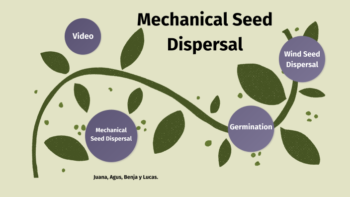 Mechanical seed dispersal by Agustina RIVERO SEGURA on Prezi