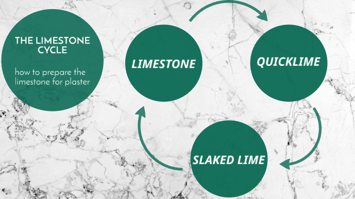 THE LIMESTONE CYCLE by maddalena consolati
