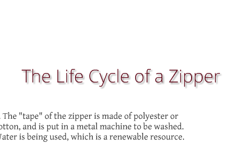 The Life Cycle of a Zipper by Bri Villasenor on Prezi