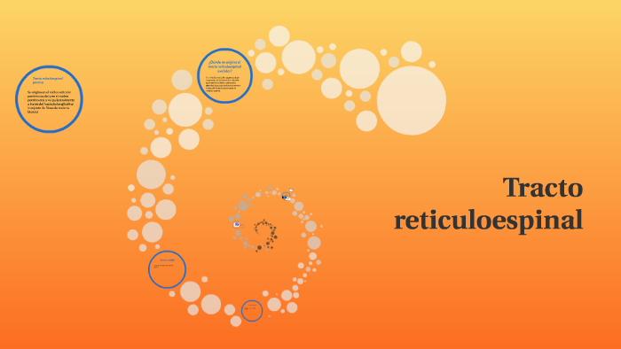 Tracto reticuloespinal by on Prezi