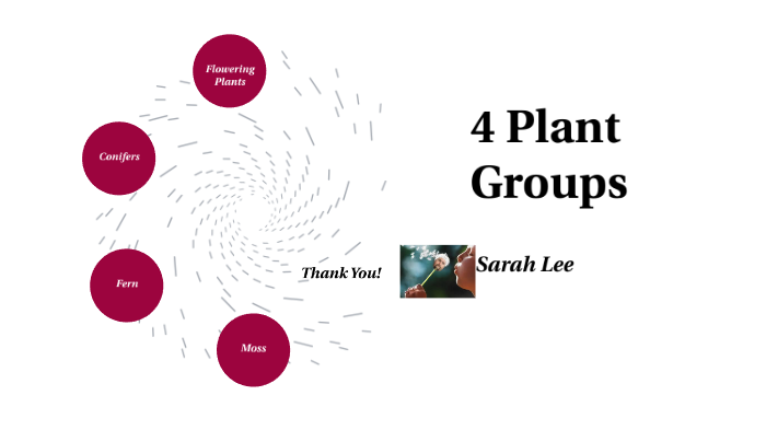 4 Plant Groups by Subin Lee on Prezi