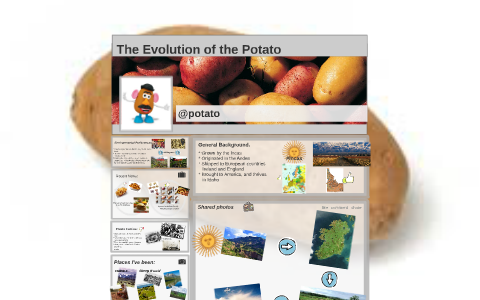 The Evolution of the Potato by ANA PRIZMIC on Prezi