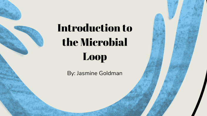 Introduction to the Microbial Loop by Jasmine Goldman on Prezi