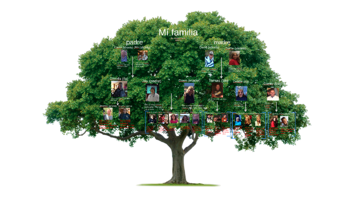 Family Tree by kendra currier on Prezi