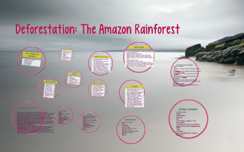 Deforestation: The Amazon Rainforest by Erica Beaulieu on Prezi