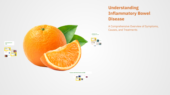 Understanding Inflammatory Bowel Disease by Dr Ishkaa on Prezi