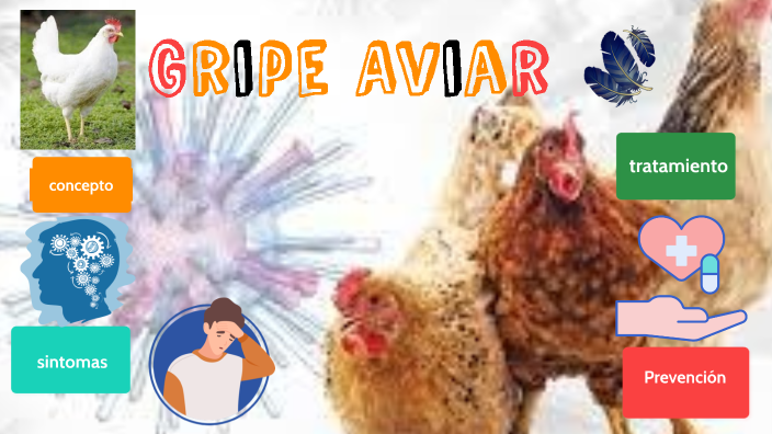 Gripe Aviar by alejandro carrasco on Prezi