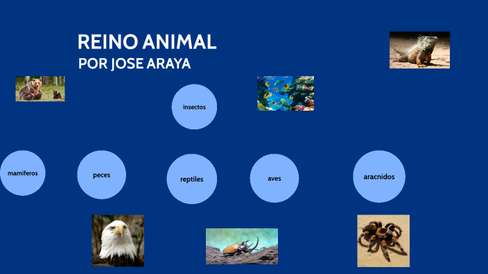 reino animal by Jose Araya Guillen on Prezi