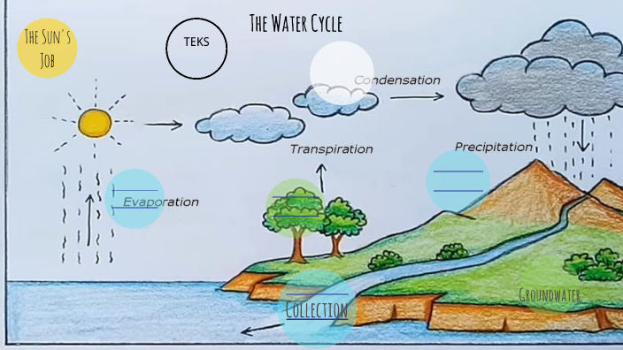 Water Cycle 4th Grade by Cassidy Jensen on Prezi
