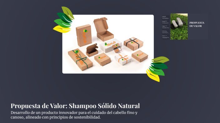 Propuesta de Valor: Shampoo Sólido Natural by Leila Joaquin on Prezi