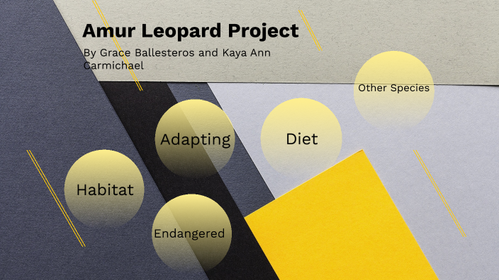 Amur Leopard Project by Grace Ballesteros on Prezi