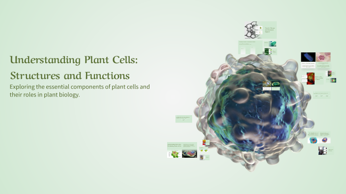 Understanding Plant Cells: Structures and Functions by Alissa Missick ...