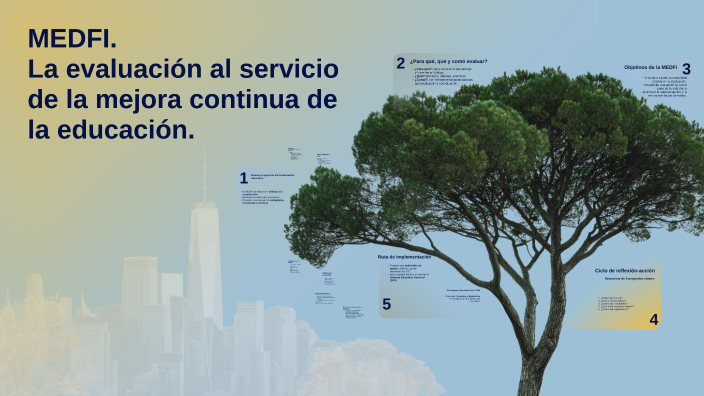 MEDFI. La evaluación al servicio de la mejora continua de la educación ...