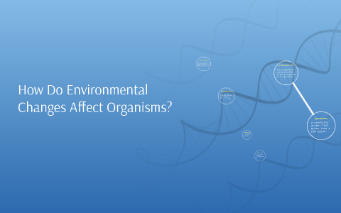 How Do Environmental Changes Affect Organisms? by Cole on Prezi