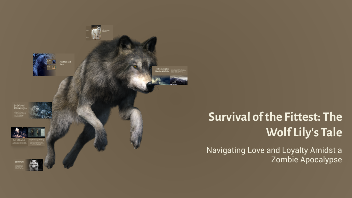 Survival of the Fittest: The Wolf Lily's Tale by leticia nelson on Prezi