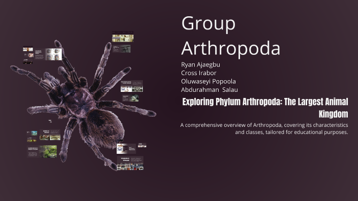 Exploring Phylum Arthropoda: The Largest Animal Kingdom by Ryan Ajaegbu ...
