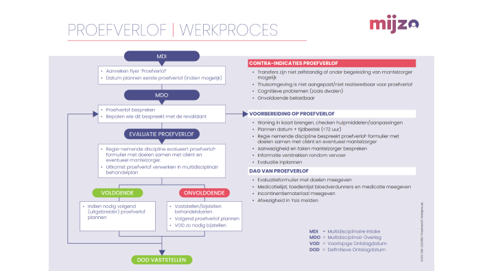 WERKPROCES PRESENTATIE by Amber voor den Dag on Prezi