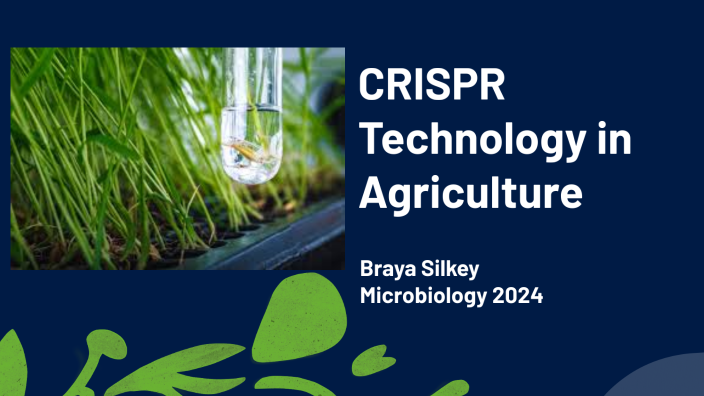 CRISPR Technology in Agriculture by Braya Silkey on Prezi