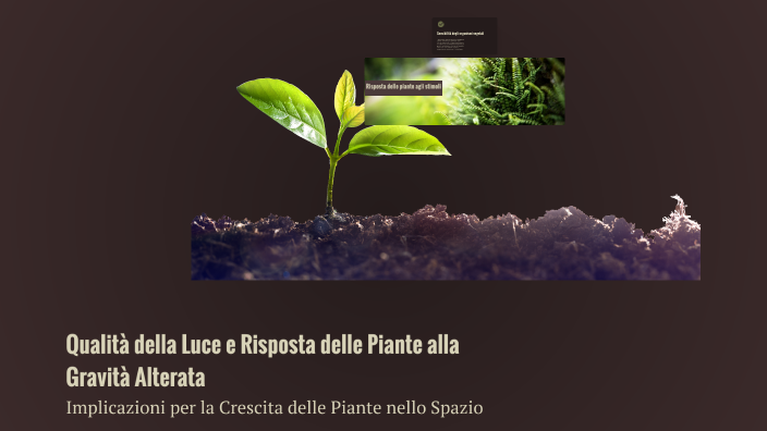 Qualità della Luce e Risposta delle Piante alla Gravità Alterata by ...