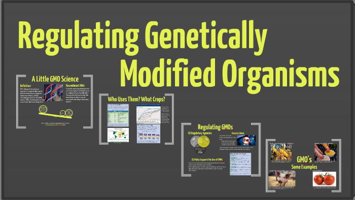 GMO: debate intro (old) by Julia Nicodemus on Prezi