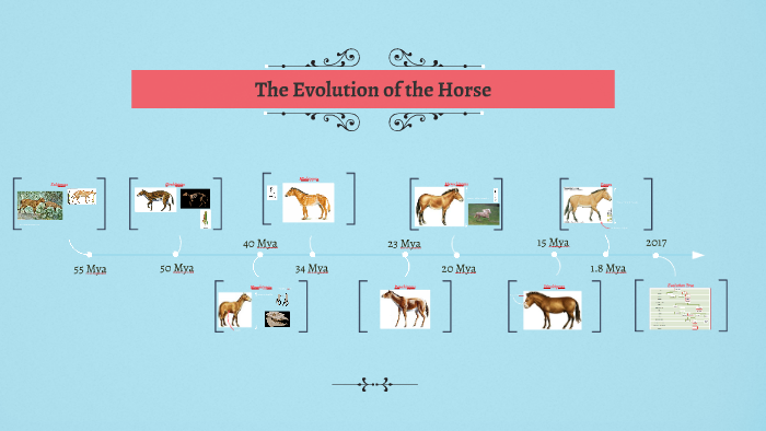 Evolution-Horse - Timeline by Alek Feehan-Schuler on Prezi