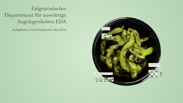 Eidgenössisches Departement für auswärtige Angelegenheiten EDA by ...