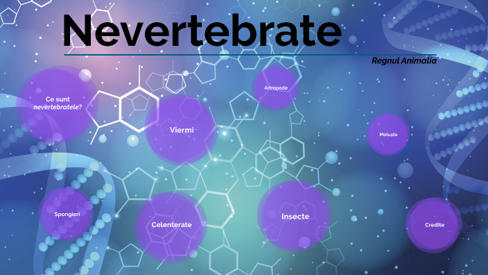 Proiect Bio- Animale nevertebrate by GeneRIX GMI on Prezi