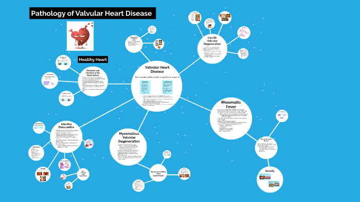 Pathology of Valvular Heart Disease by Katie Myers on Prezi