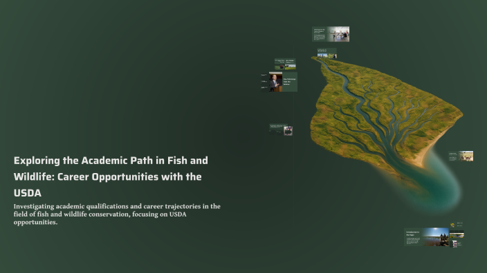 Exploring the Academic Path in Fish and Wildlife: Career Opportunities ...