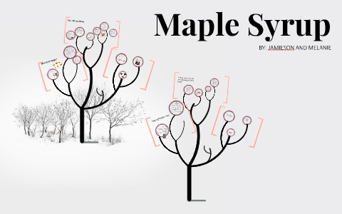 Maple syrup by Jamieson CC on Prezi