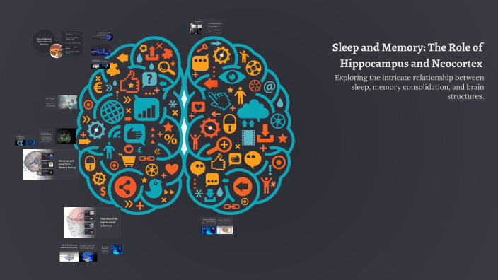 Sleep and Memory: The Role of Hippocampus and Neocortex by Rajmeer Gill ...