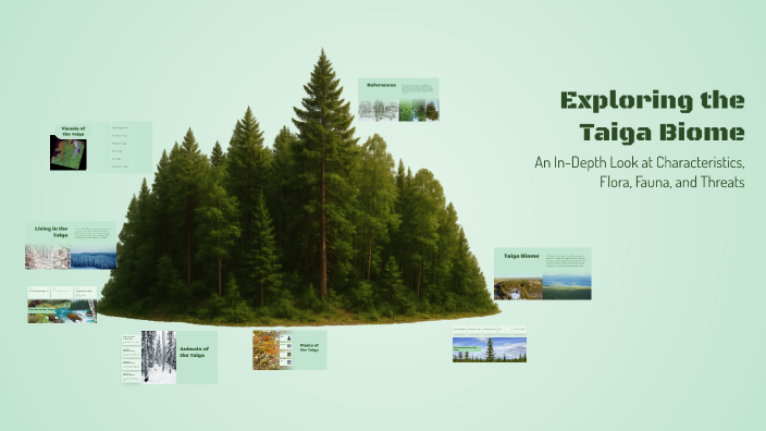 Exploring the Taiga Biome by p d on Prezi