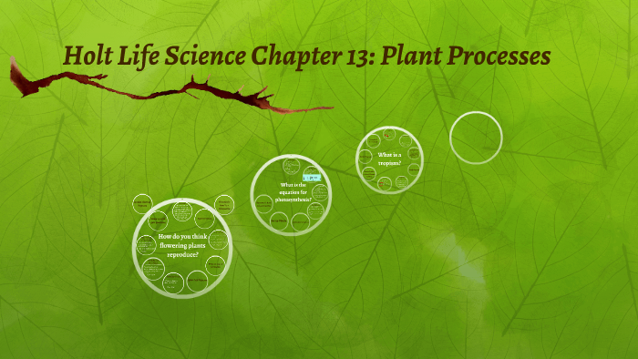Holt Life Science Chapter 13: Plant Processes by Melissa Kutch on Prezi