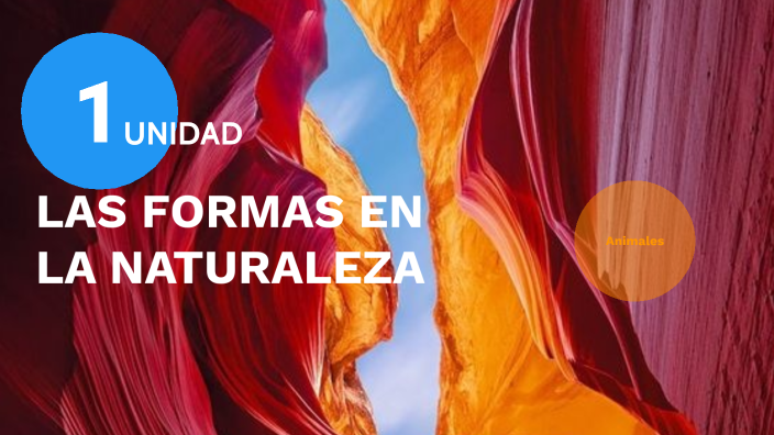 4ESO TEMA 1 Las formas en la naturaleza by Paula Munoz on Prezi