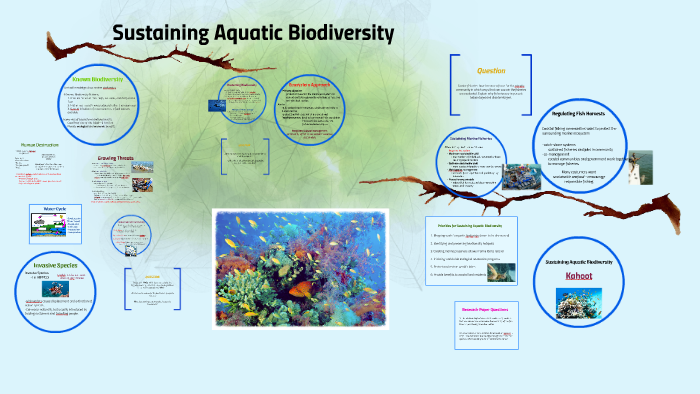 Sustaining Aquatic Biodiversity by Elizabeth Leon on Prezi