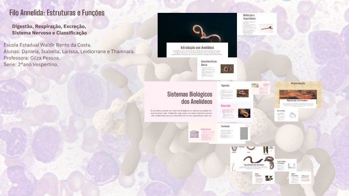 Filo Anelida: Estruturas e Funções by thainnara vieira on Prezi