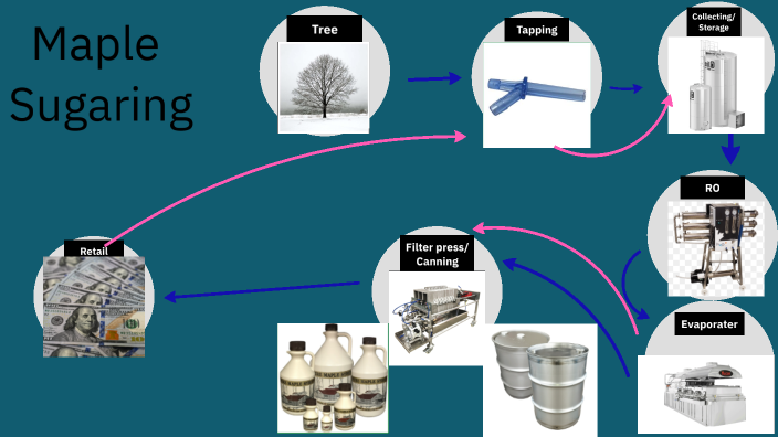Sugaring by Garret Snider on Prezi