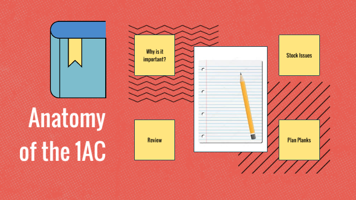 Anatomy of the 1ac by Paiden Rosine on Prezi