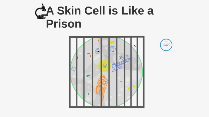 A Skin Cell is Like a Prison by Nathan Midgett on Prezi