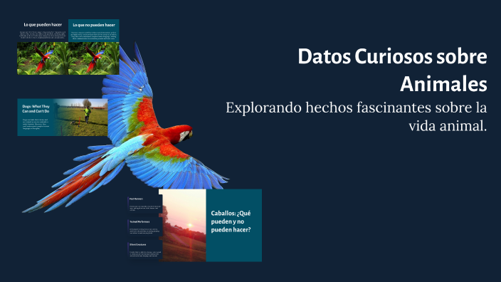 Datos Curiosos sobre Animales by Anthony Corrales on Prezi