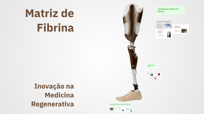 Matriz de Fibrina by Danielly Queiroz on Prezi